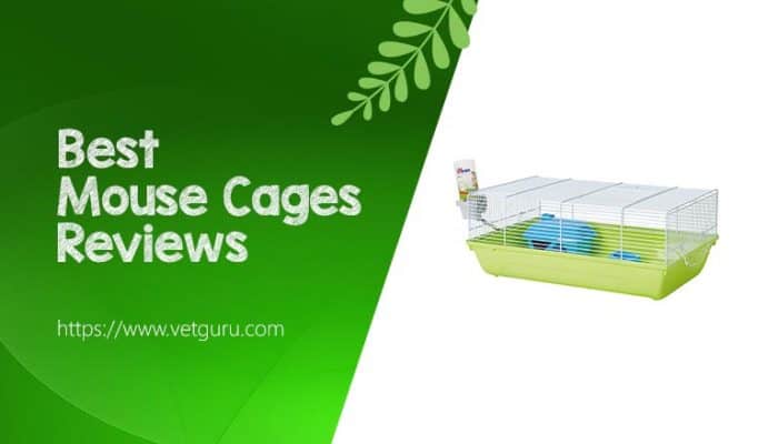 The 5 Best Mouse Cages Reviews 2021