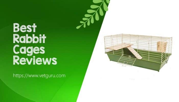 The 8 Best Rabbit Cages 2021 Updated