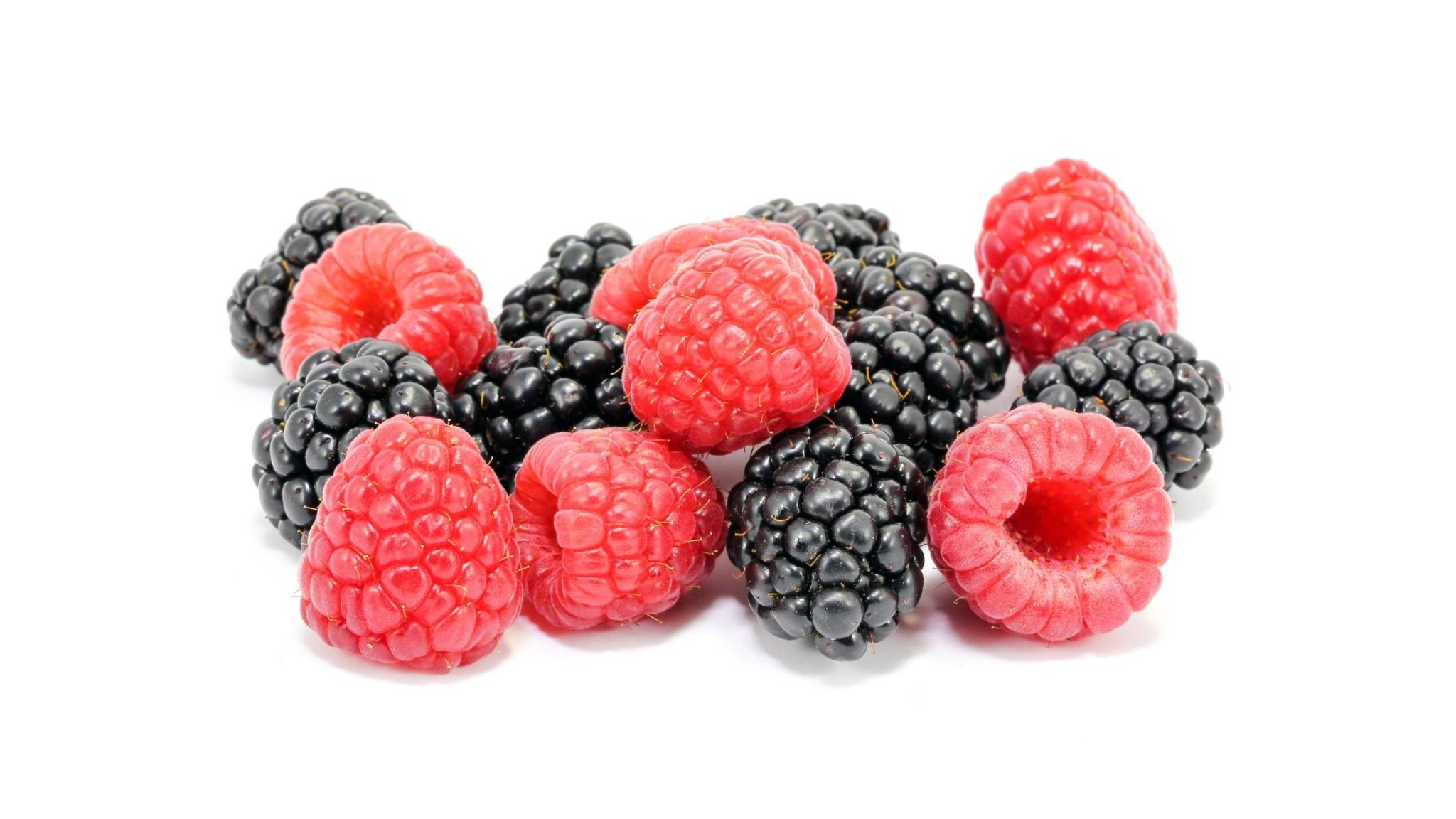 Can Rabbits Eat Blackberries? Risks, Benefits and More